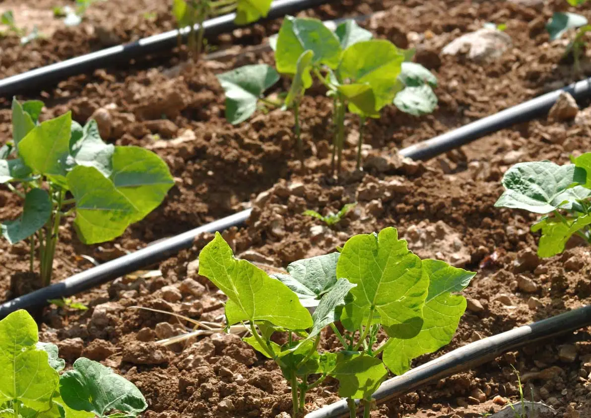 IRRIDIP - Spécialiste irrigation, arrosage, pompage, filtration